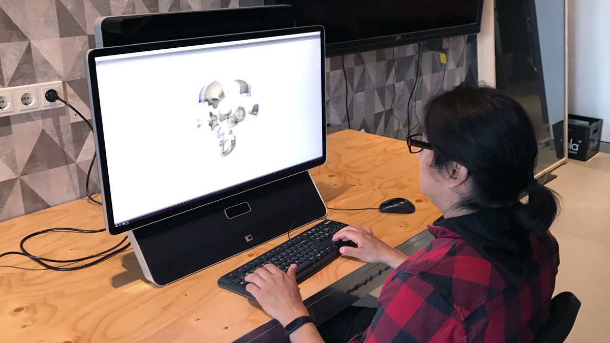 Dimenco Simulated Reality 3D Screen